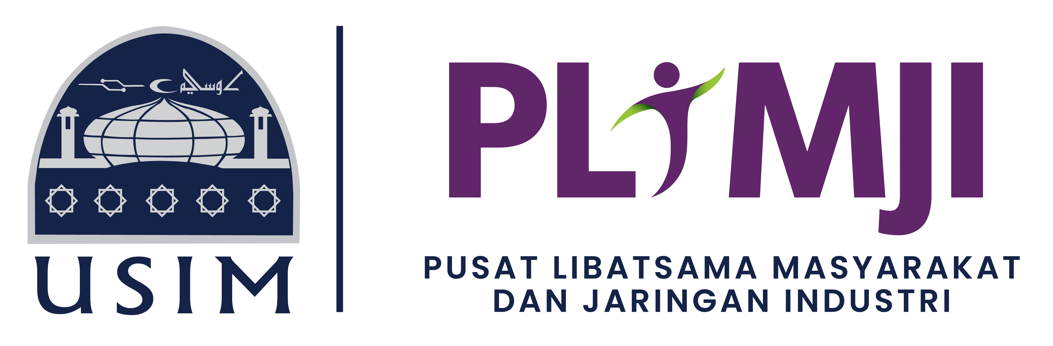 PLMJI USIM